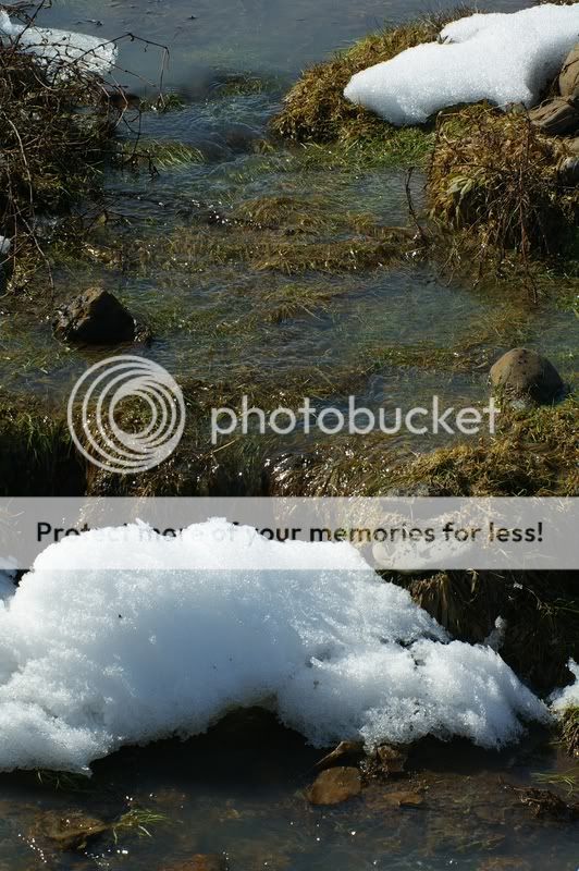 Spring Thaw.. (5 pics) - PentaxForums.com