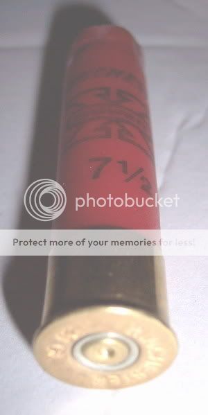 Dark Red AA Shells? What are They? | Shotgun Forum