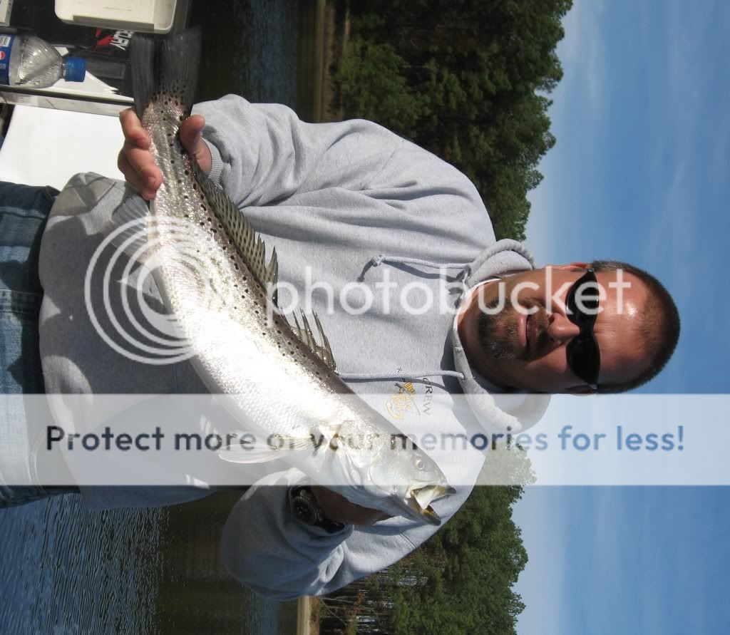 Update: Skip Feller's quest for expert... | Tidal Fish Forum