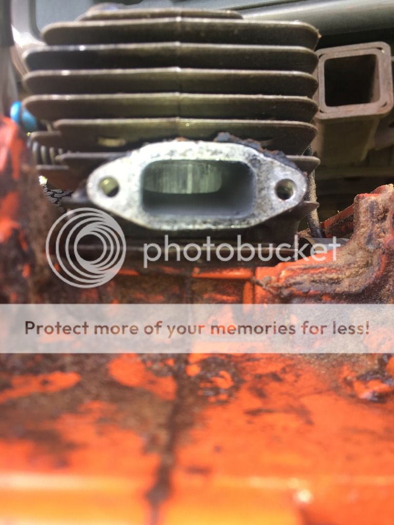 Husqvarna 372xp Rebuild Help | Arborist, Chainsaw & Tree Work Forum