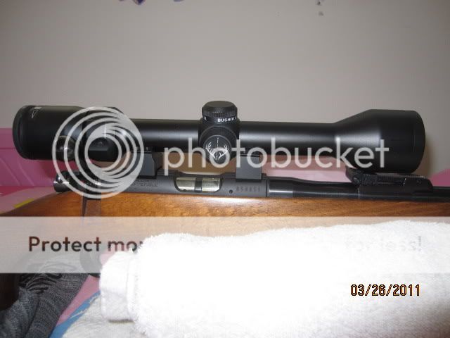 Rings or Rail for CZ 452 Trainer | Rimfire Central Firearm Forum