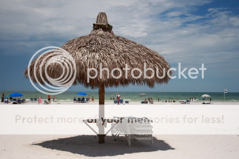 Preserving the Beauty – Florida Pics (Miami, Miami Beach: snake, golf ...